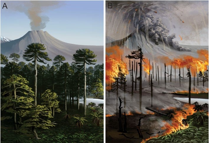 Forest fires in Antarctica caused by volcanic eruptions at the end of ...