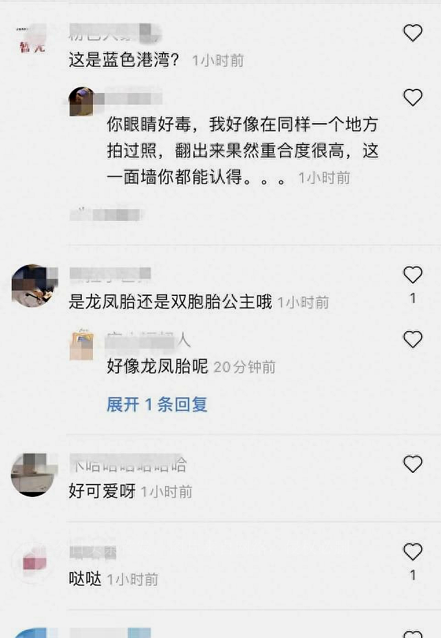 Sa Beining's family of four appeared, the twins' first twins were ...