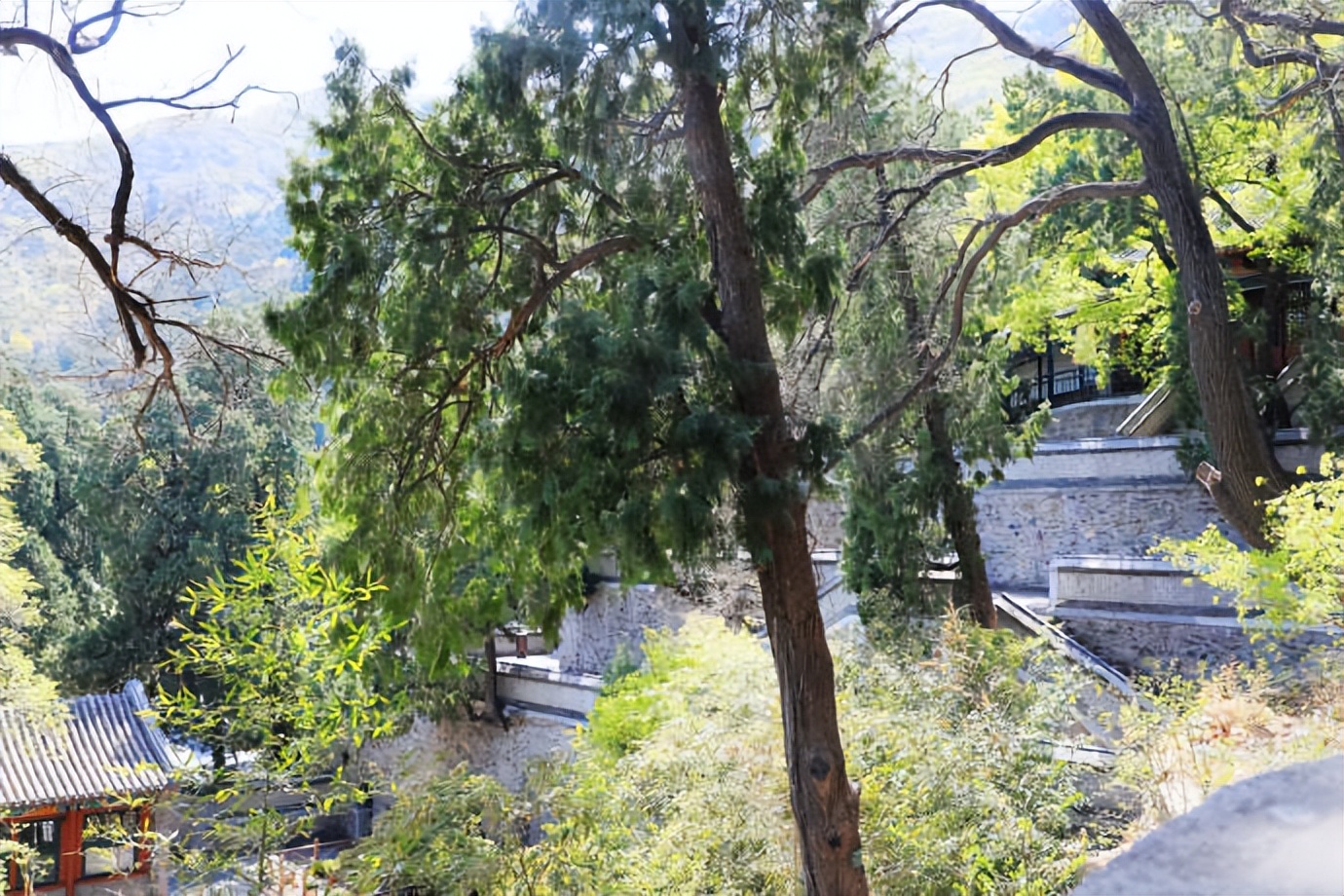 Climbing a ghost sees sorrow - Fragrant Mountain - iMedia