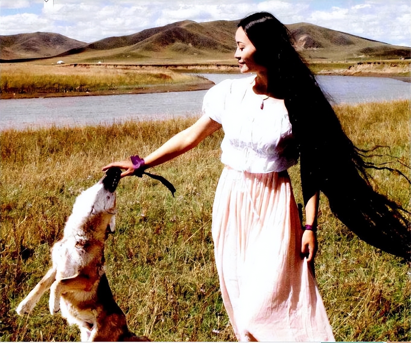 Li Weiyi: Raise a wolf and send it back to the wolf pack, but they meet ...