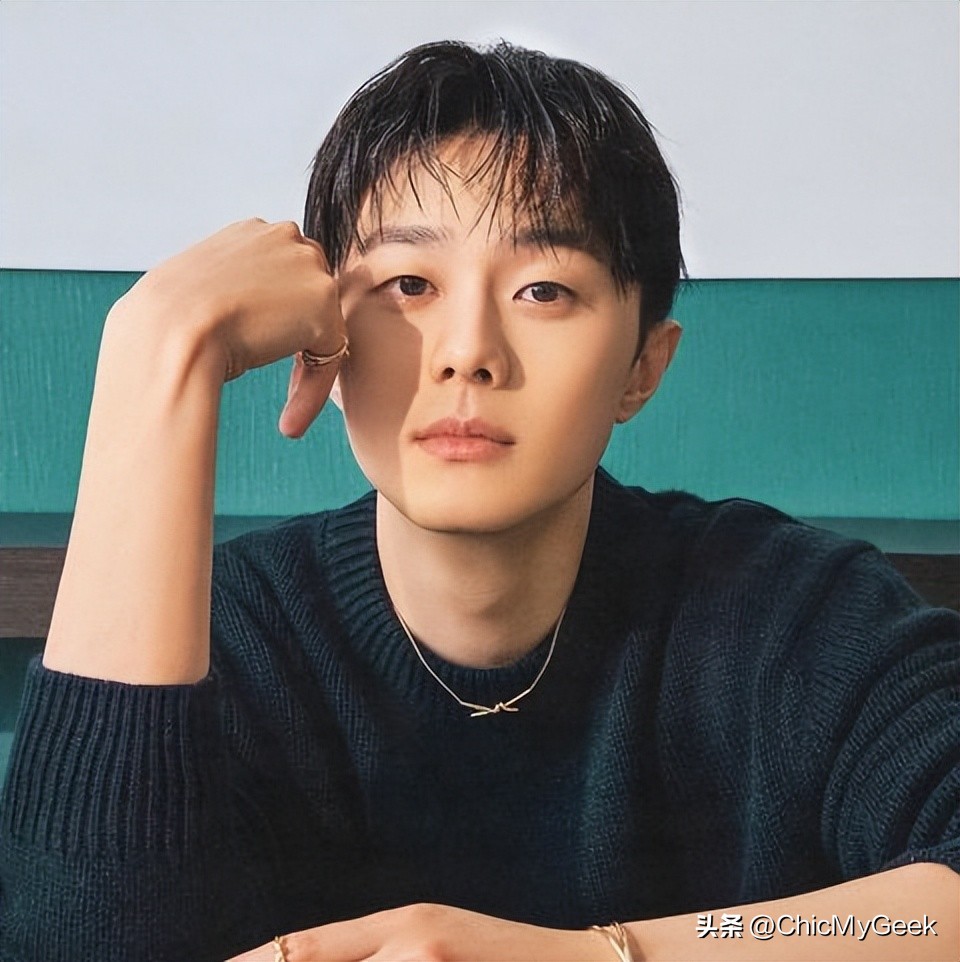 Take a look at Taiwan's fresh meat male stars, they have good looks ...