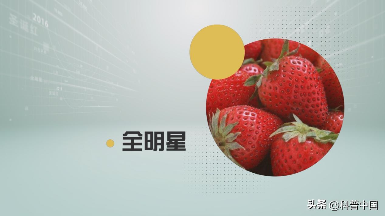 The "growth history" of a small strawberry - iNEWS