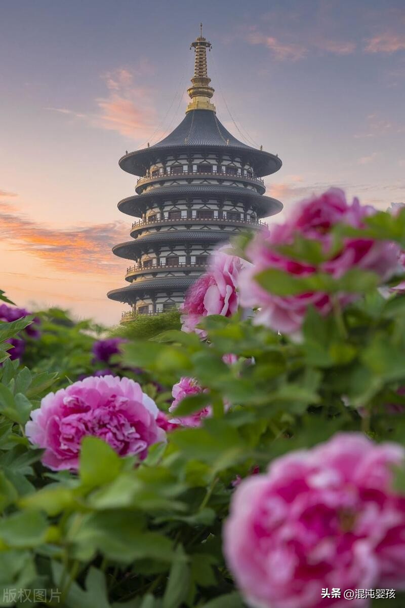 "Yao Hua Fu Gui Jiang Mei Miao" Zhu Yi's four poems have a clear and ...