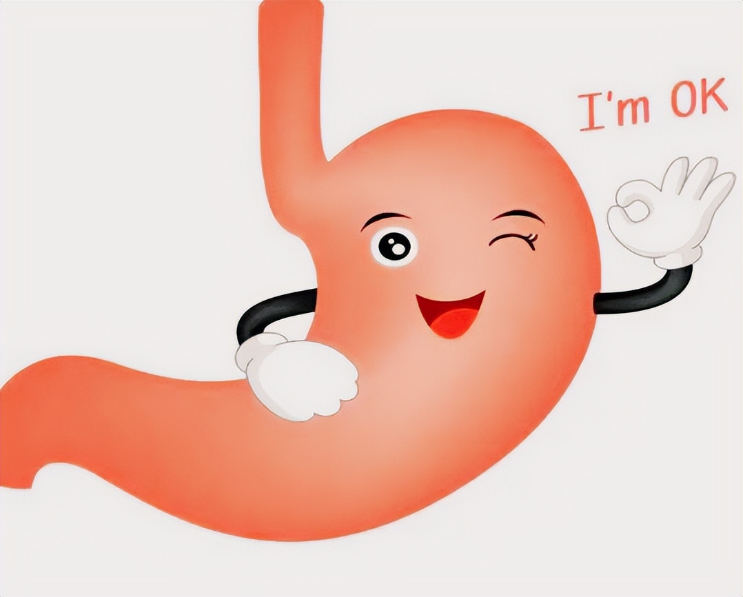 hello stomach - iNEWS