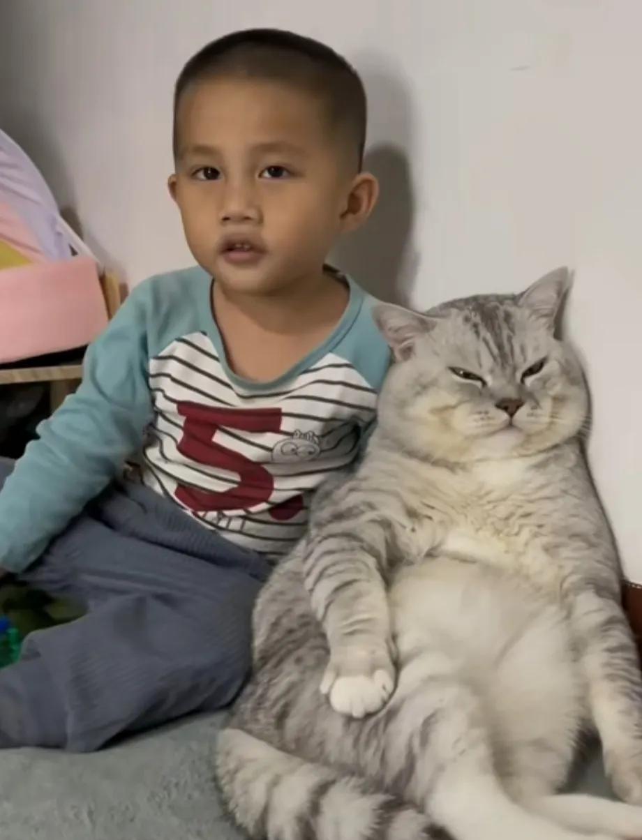 How to coax a cat that is angry with its owner - iNEWS