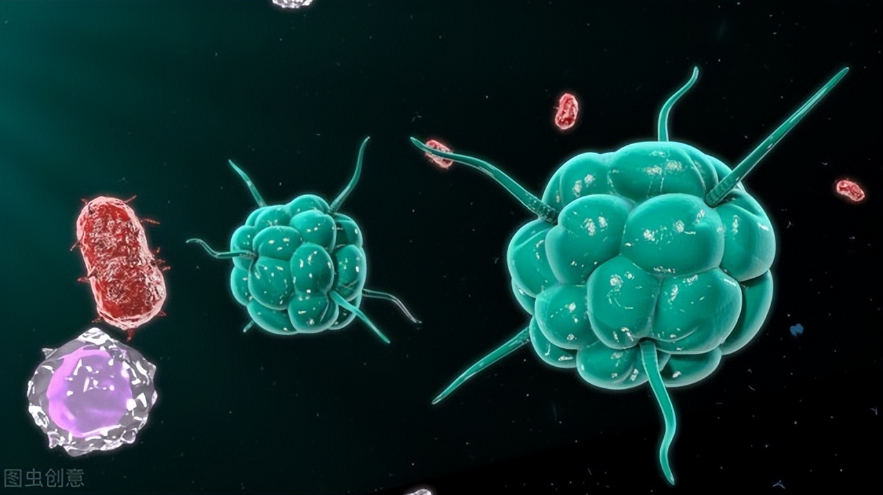 Why does cancer come back?How long does it take to be successful ...