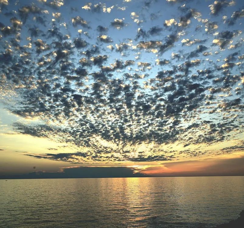 "Sick Pen" ④: The sense of meaning comes from the process, not the ...