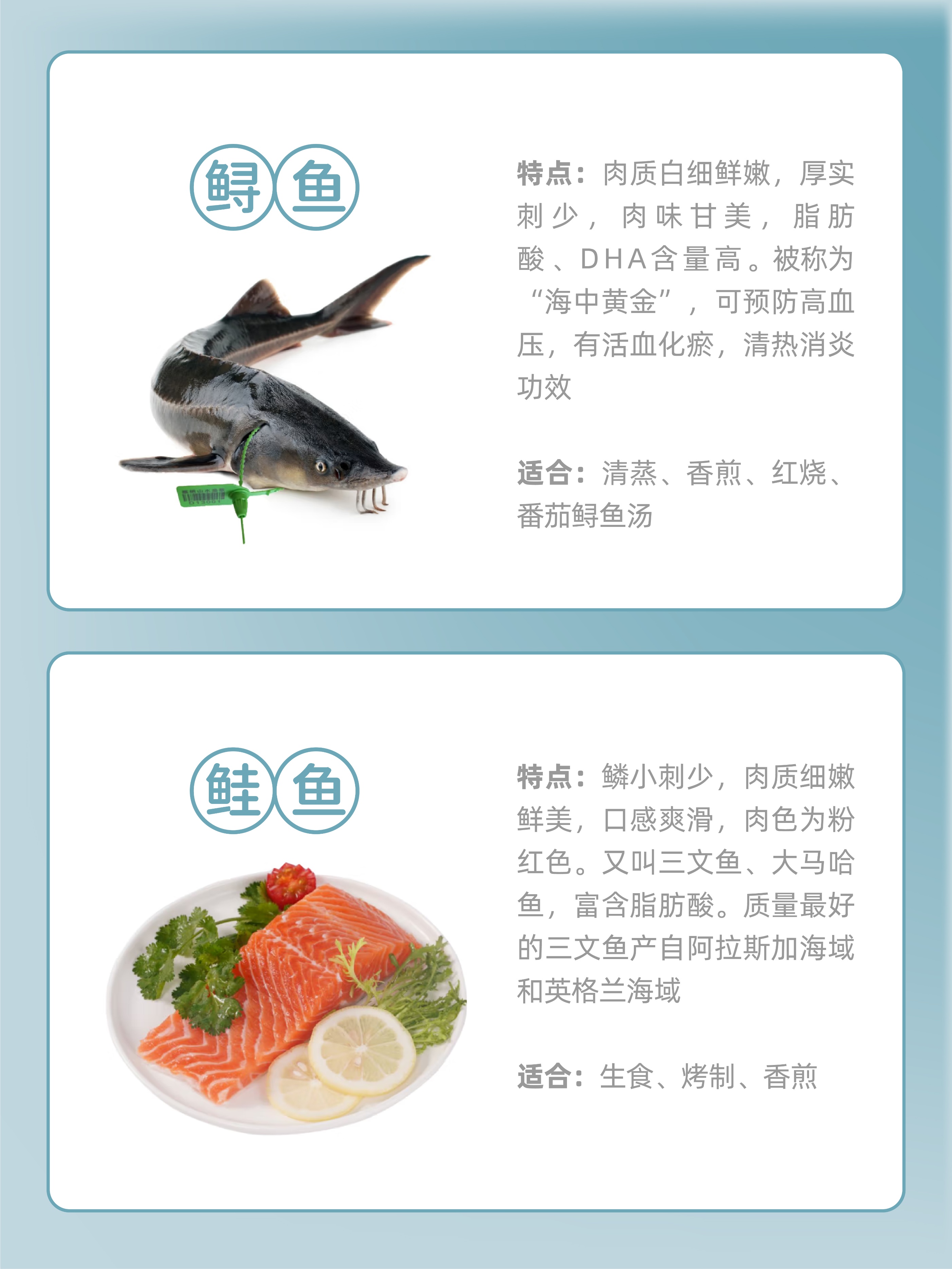 Types and characteristics of common marine fish - iNEWS