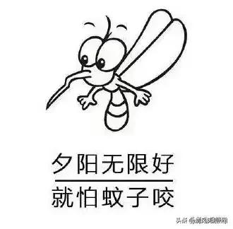 The witty "Mosquito" -- with the original poem "Mosquito" - iMedia