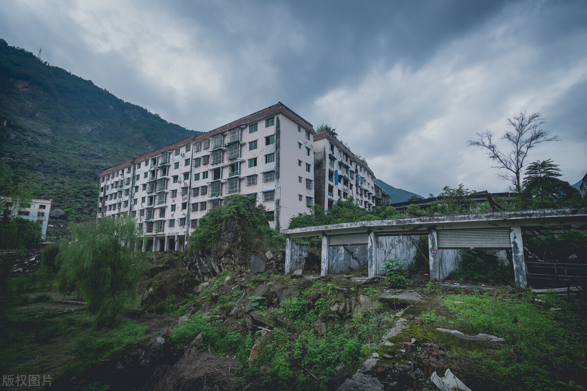 What would the earth be like if there were no human beings on the earth ...