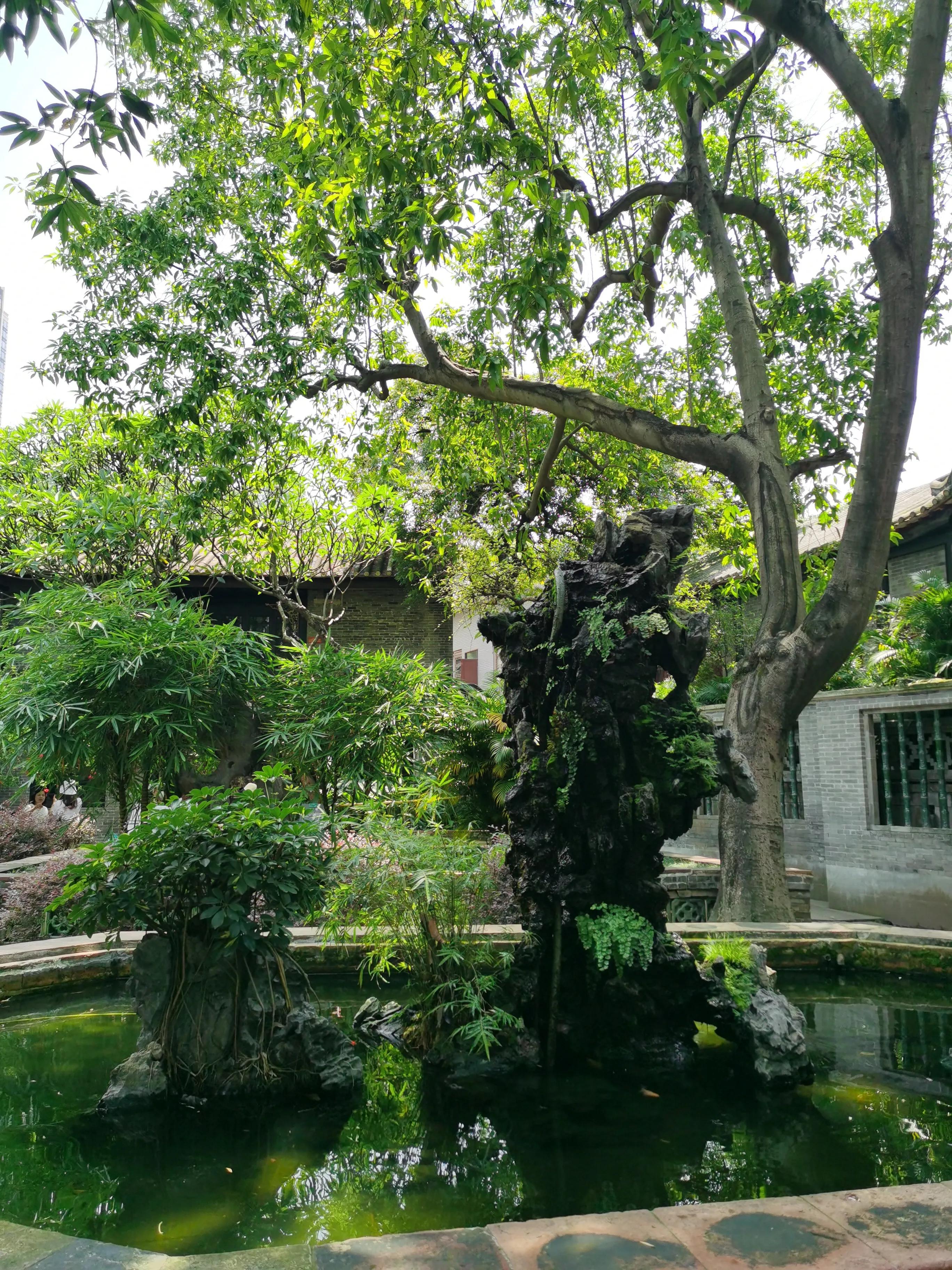 Qinghui Garden - iNEWS