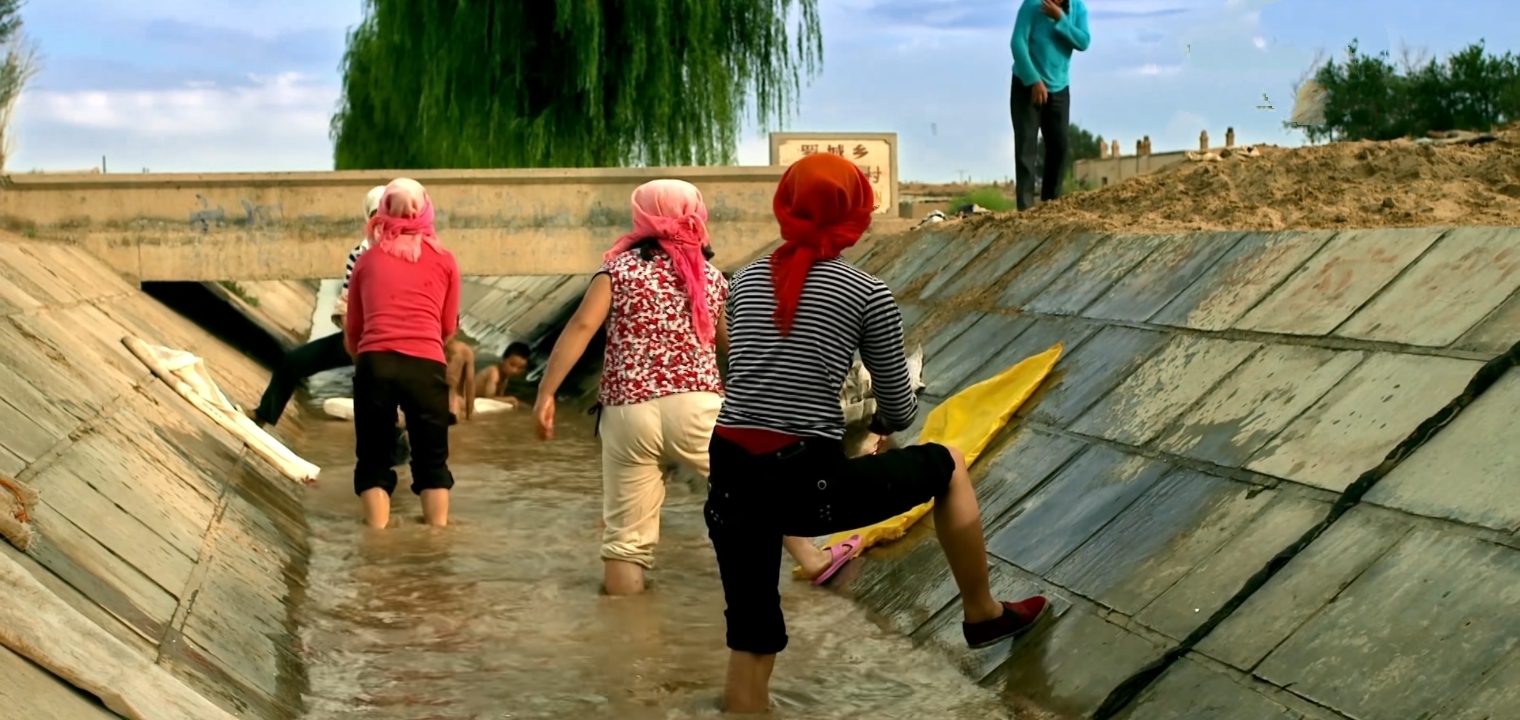 Also directed by Li Ruijun, "White Crane" and "Hidden in the Dust" are ...