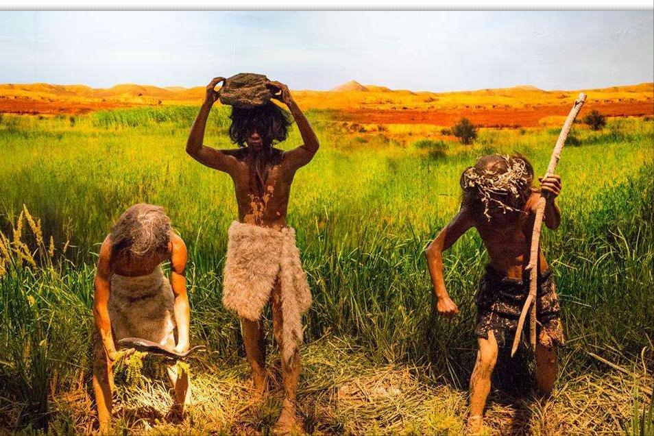 Humans lose their body hair, why leave hair, pubic hair and armpit hair ...