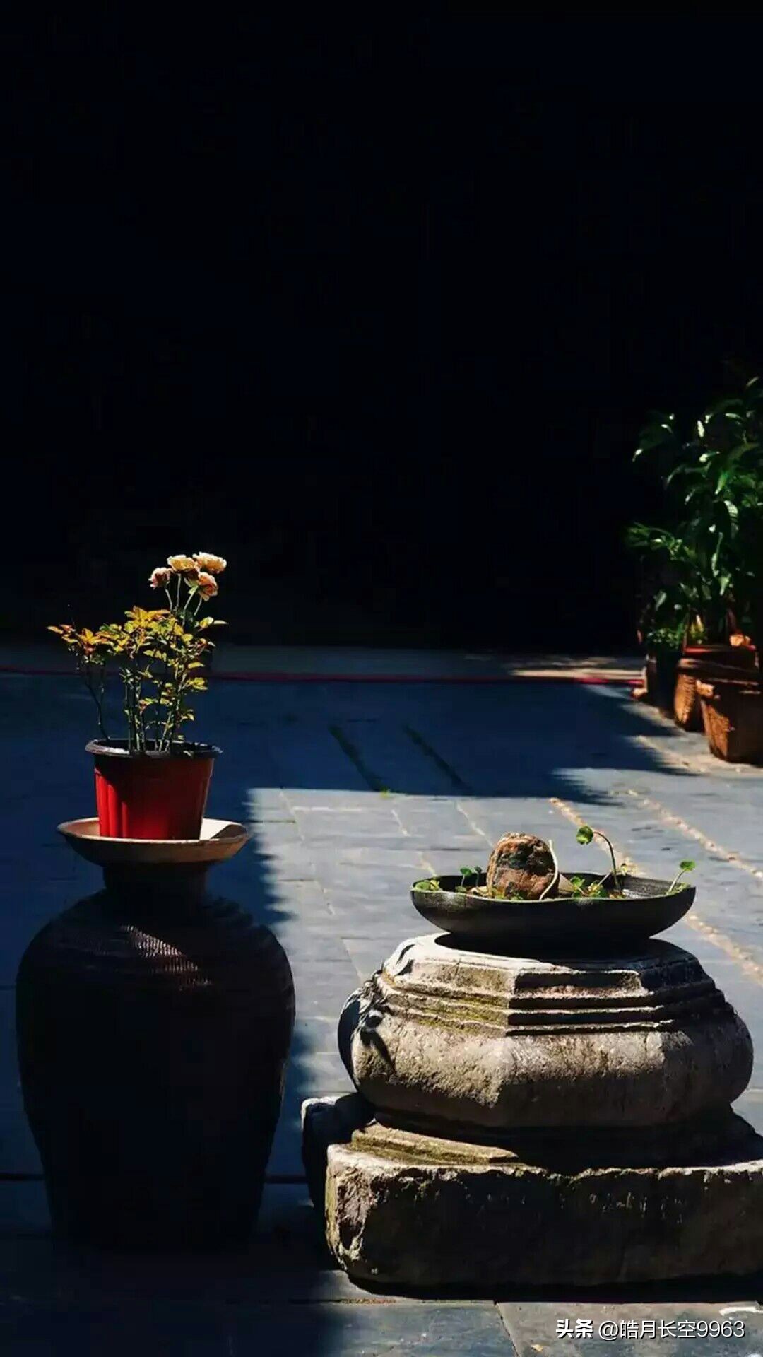 "Su Shu" An Lizhang - Wealth is ushered in, and poverty is abandoned ...