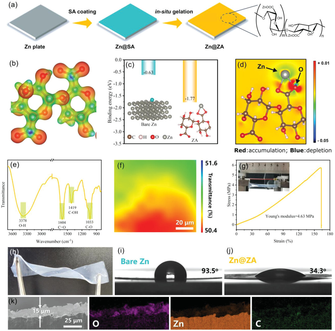 Adaptive and self-healing hydrogel interfaces with fast Zn2+ transport ...