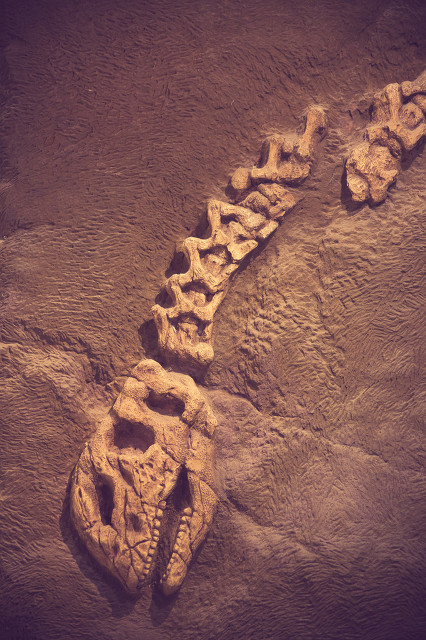 Top 10 Possible Causes of Human Sudden Extinction - iNEWS