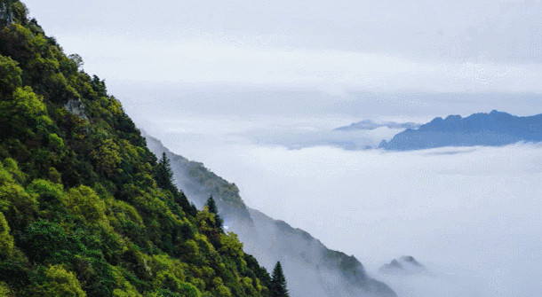 This couple went to live on the mountain and built a 440-square-meter ...