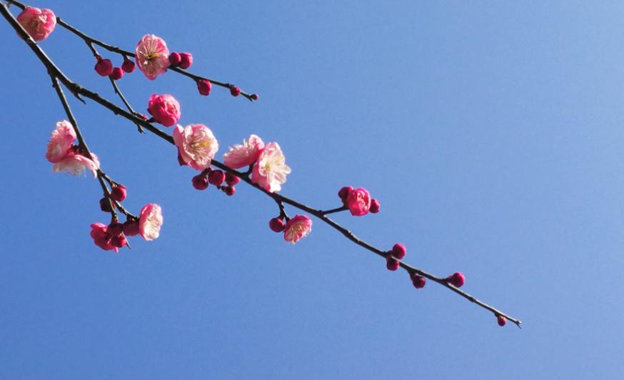 Full of warmth, 10 heart-warming poems after reading, both warm and ...