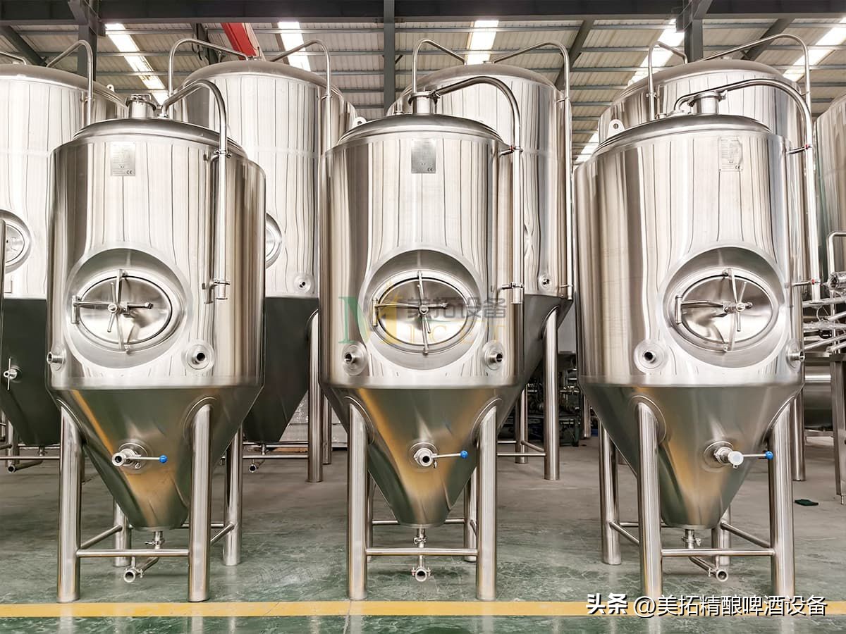 Craft beer fermentation process and control - iNEWS