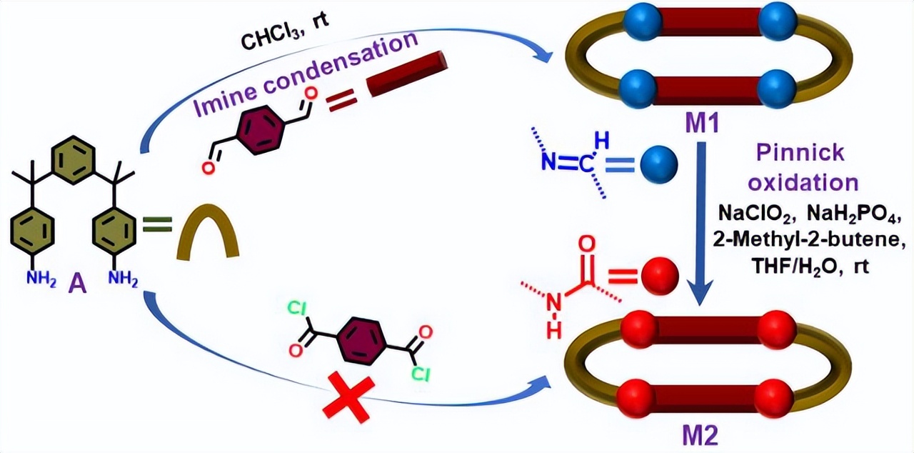 New breakthrough in imine chemistry: transforming unstable imine cages ...