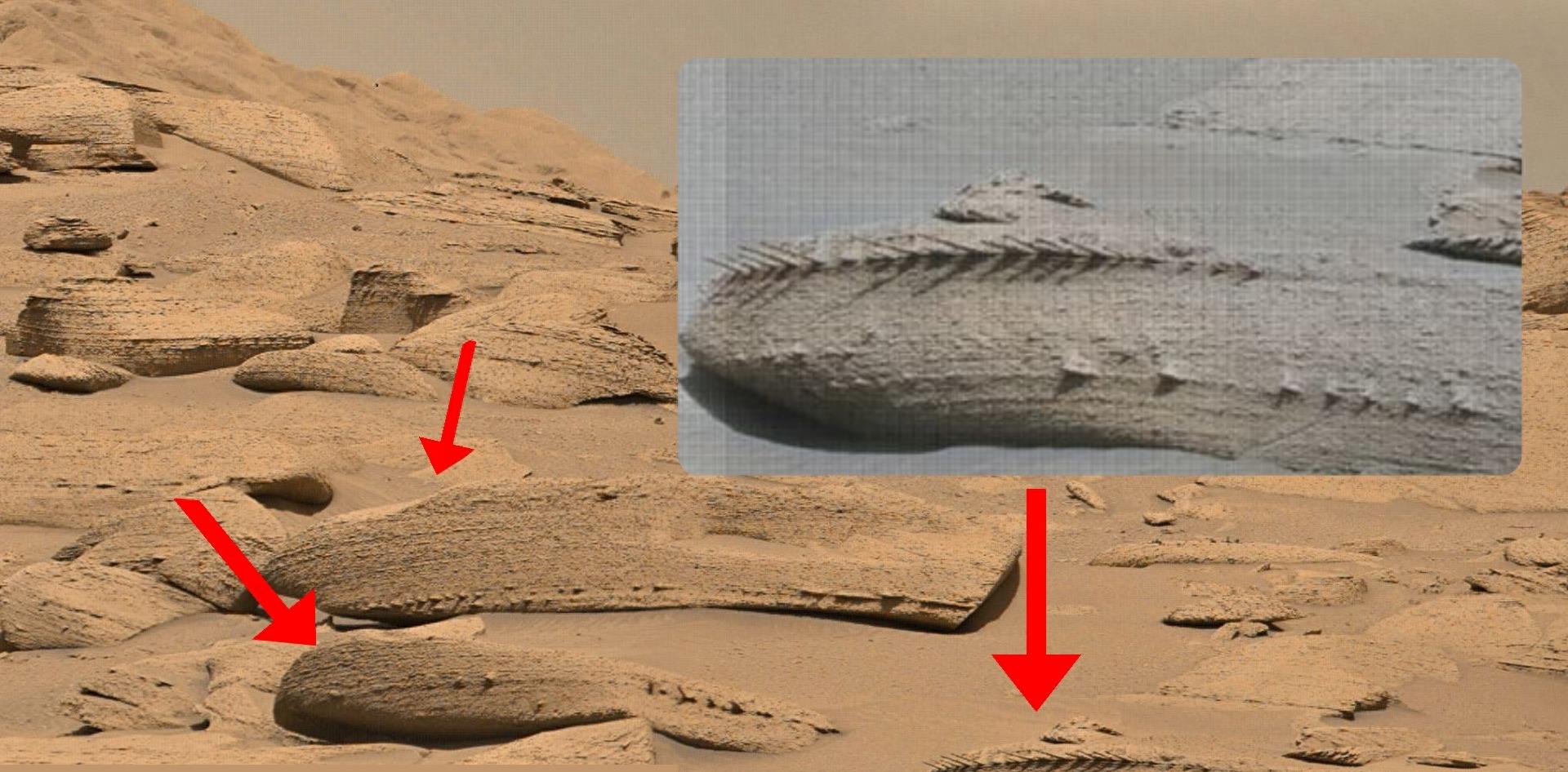 Prehistoric creature skeleton? Curiosity discovered weird spikes. Is ...