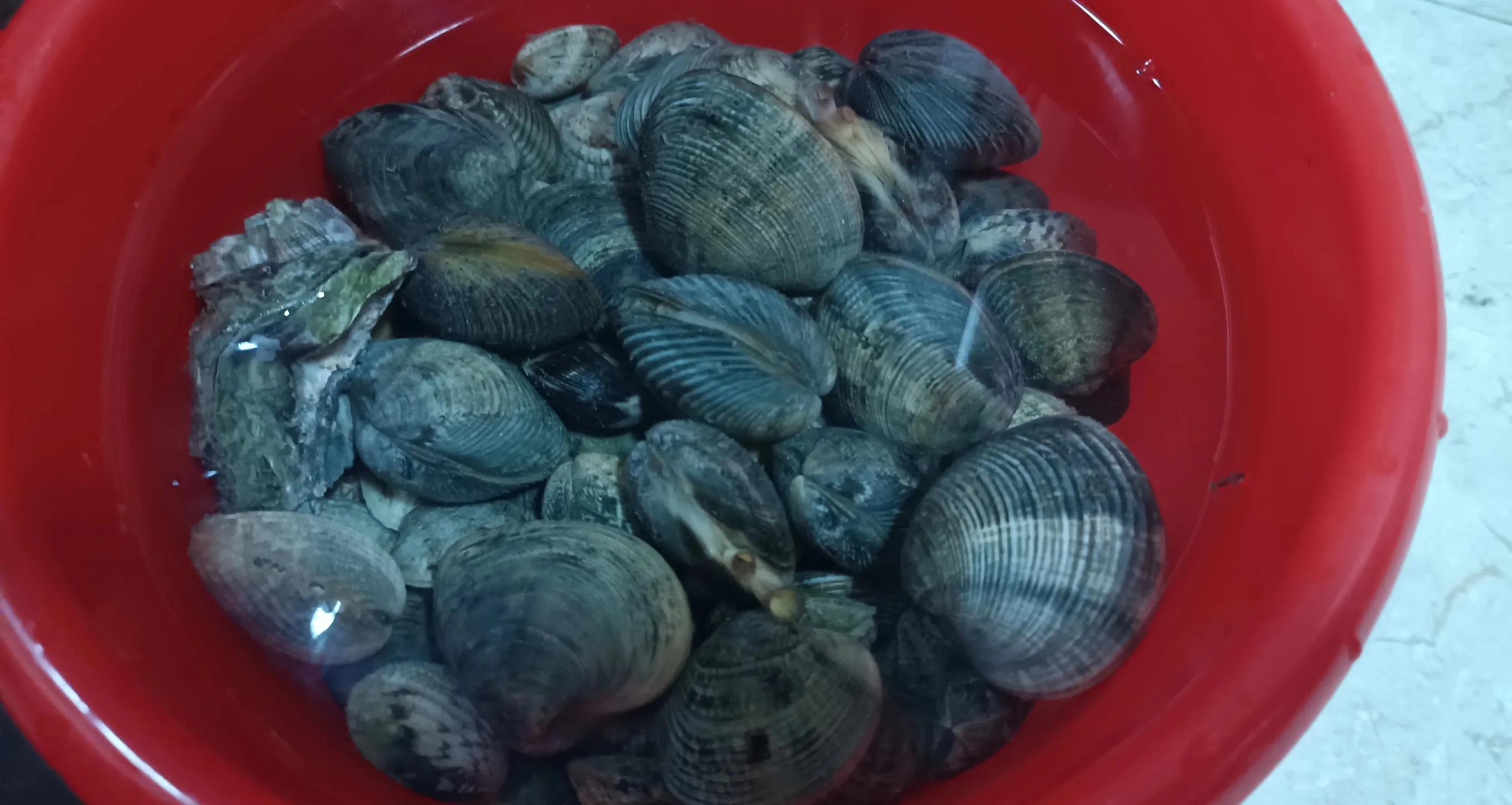 Where is Sanya suitable for fishing - iNEWS