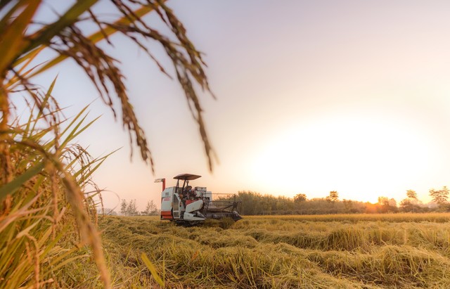 The description of well-off in the Han Dynasty, based on the real ...