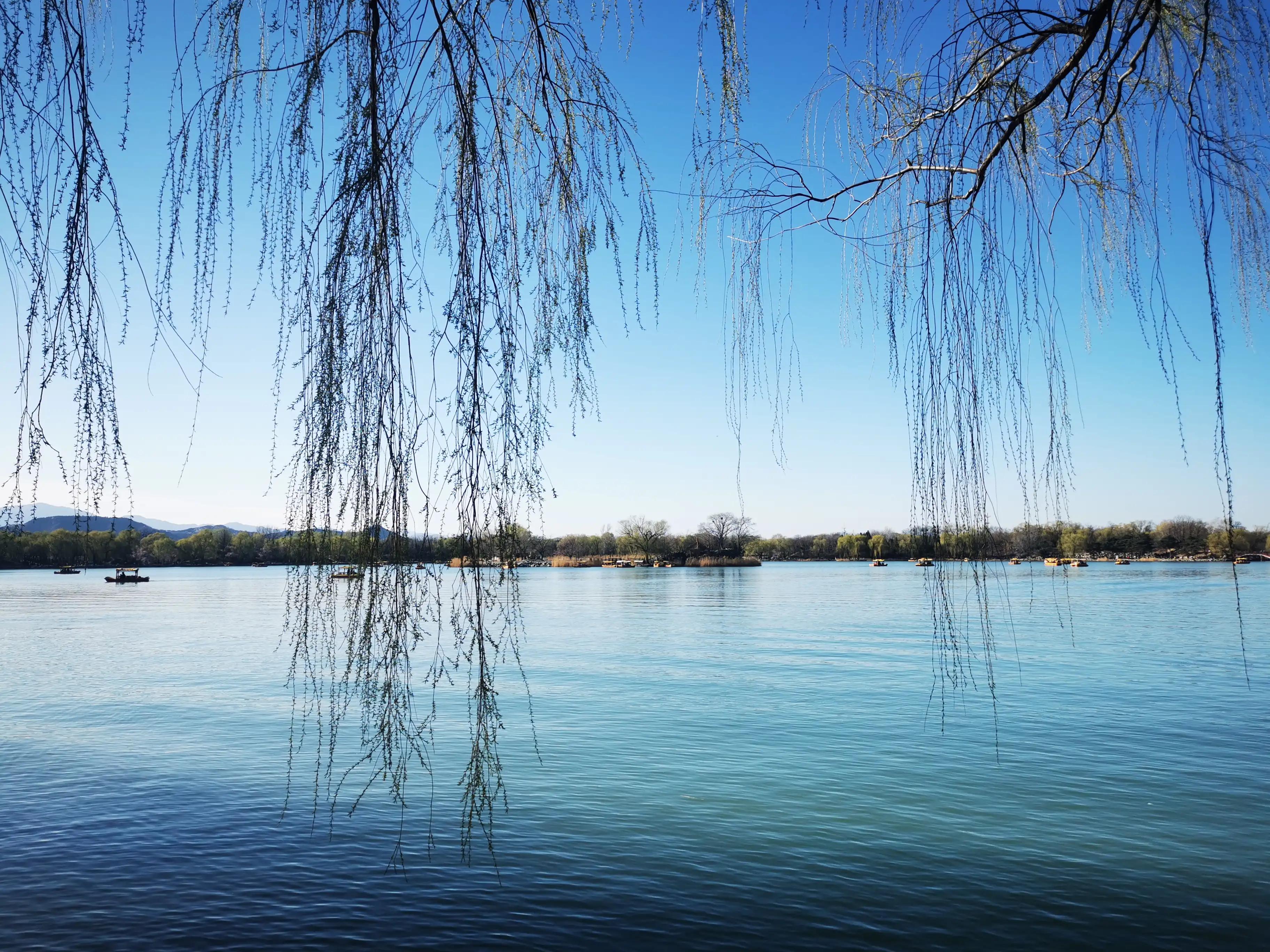 Willow spring breeze on March 3rd, painting bridges and fragrant ...