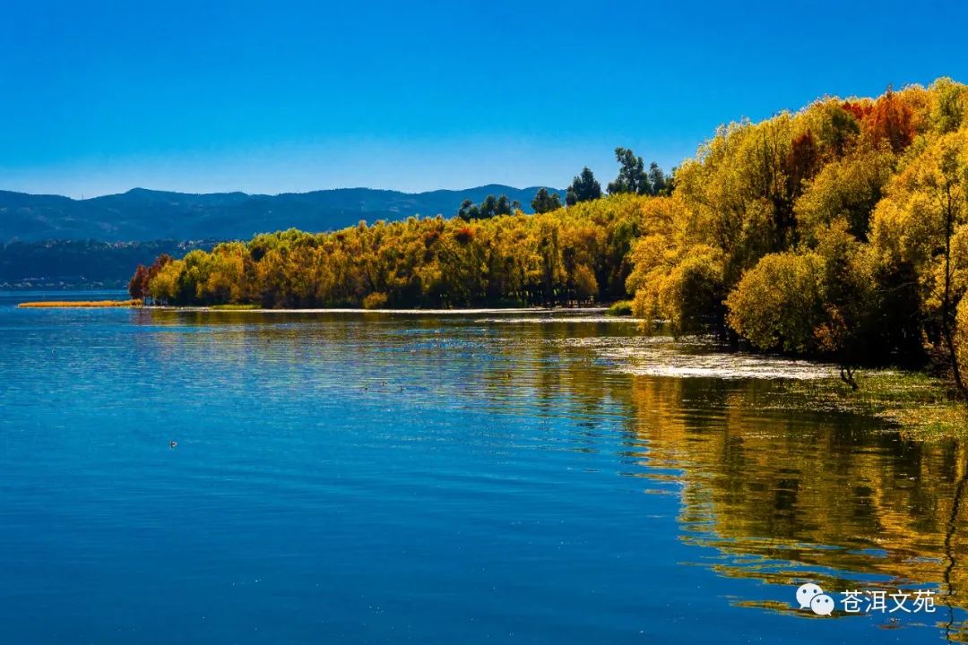 The Erhai Lake Ecological Corridor in early winter is so beautiful - iNEWS
