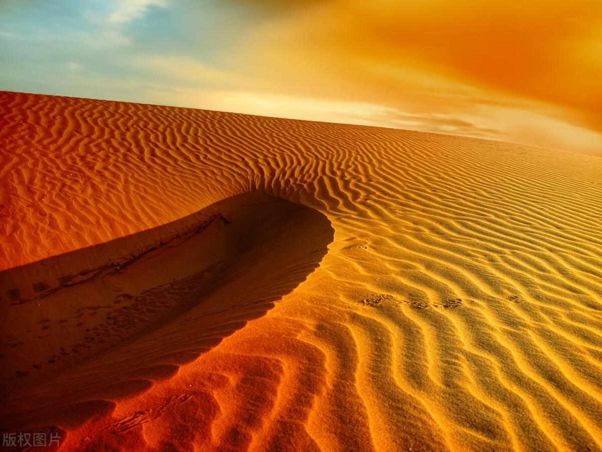 Ma Hongkui 3.24 - iNEWS