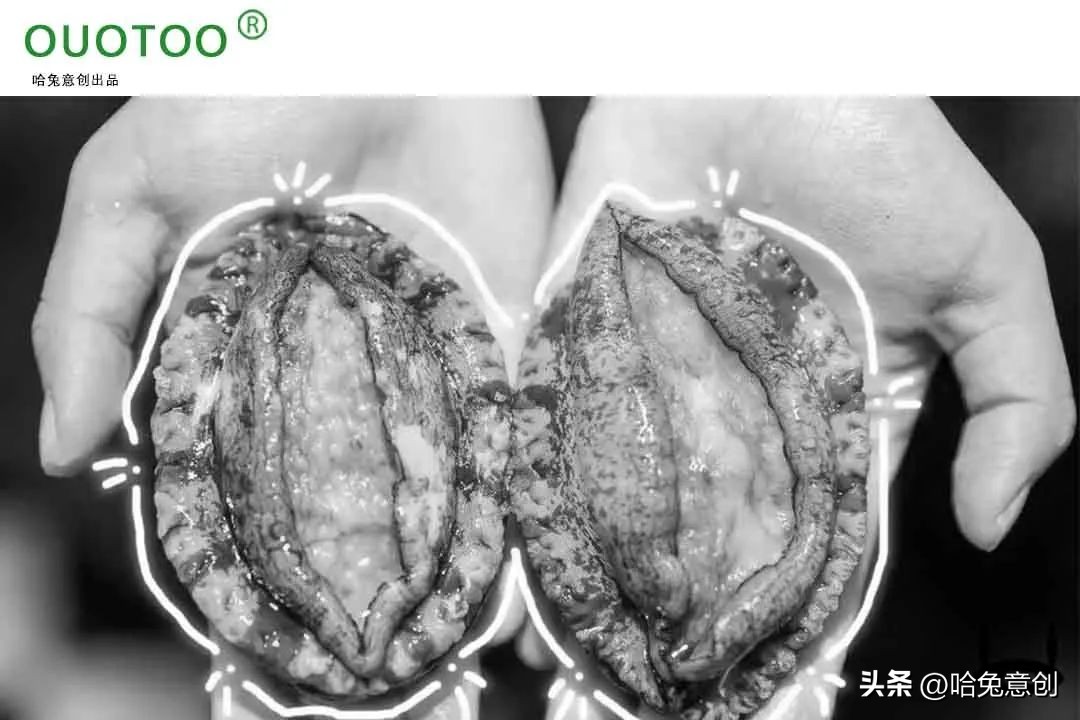 Abalone eats "new tricks": the ancients loved to eat abalone, and they ...