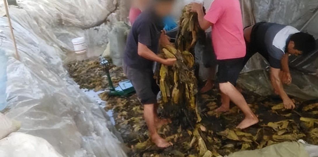 The time-honored brand that even foreign capital can't win is now the ...