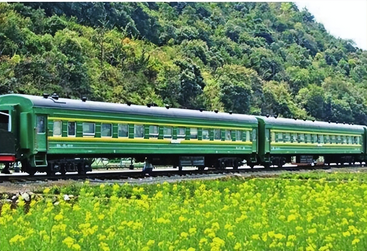 Now that it is so developed, how can green leather trains survive in ...