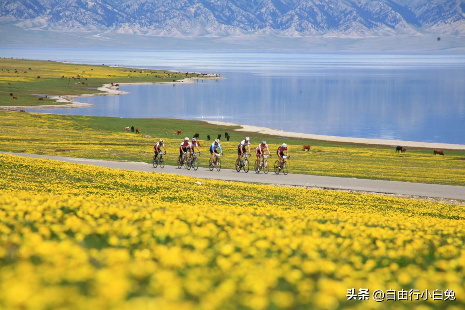 Riding with Wu Lei in Xinjiang, seeing the sea of flowers in the ...