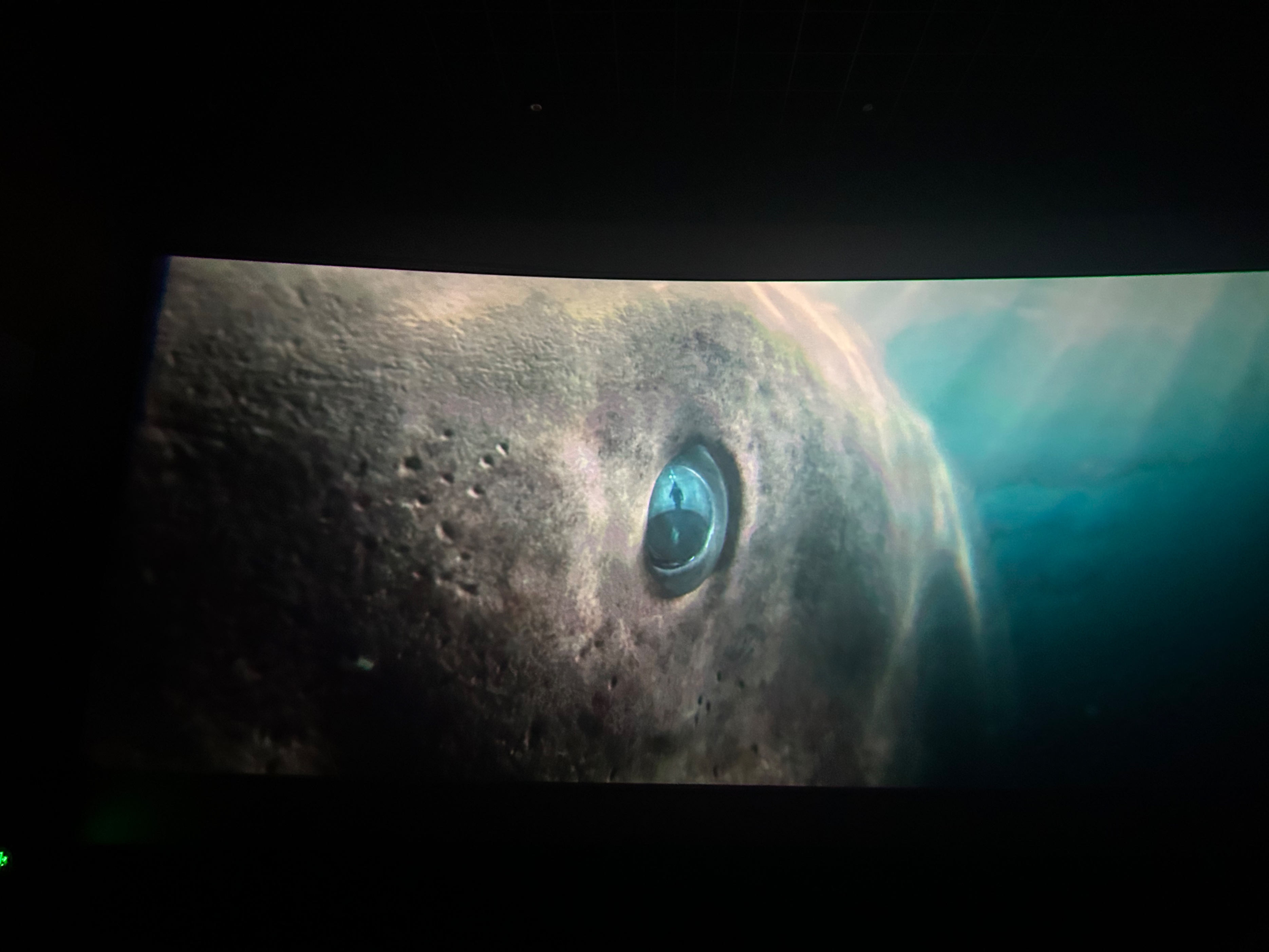 "The Meg 2: The Abyss"—Can commercial films be more rigorous? Viewers ...