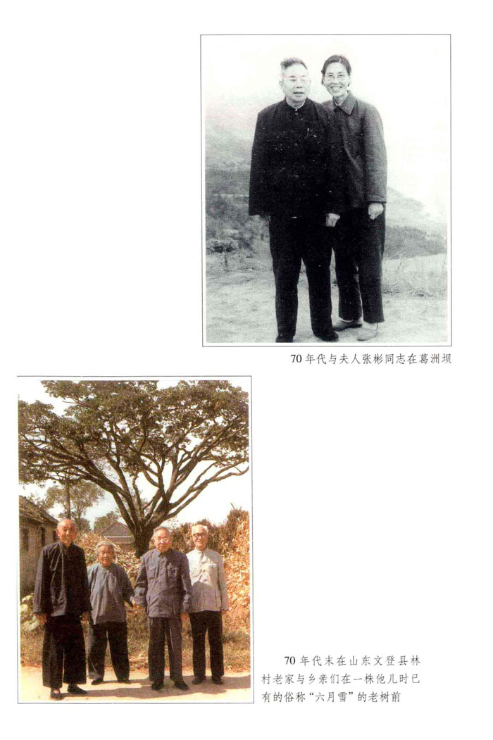 Lin Yishan in Fang Fang's Works: Irresistible Power of Personality - iMedia