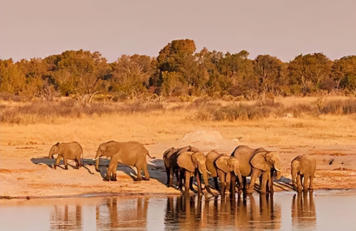 Animals in nature have an advantage in mating for a long time? Or is ...