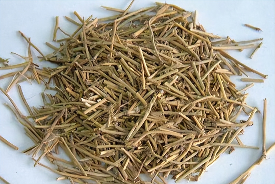 Ephedra for dispersing wind and cold - iNEWS