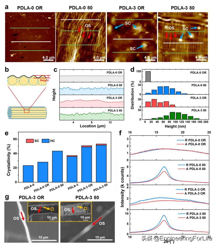"AHM": A multifunctional disorder-ordered technology endows polymers ...