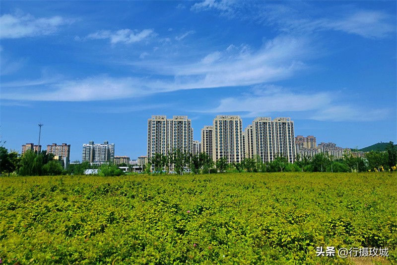 Mobile phone photography︱The scenery of Jindong Park at noon - iMedia