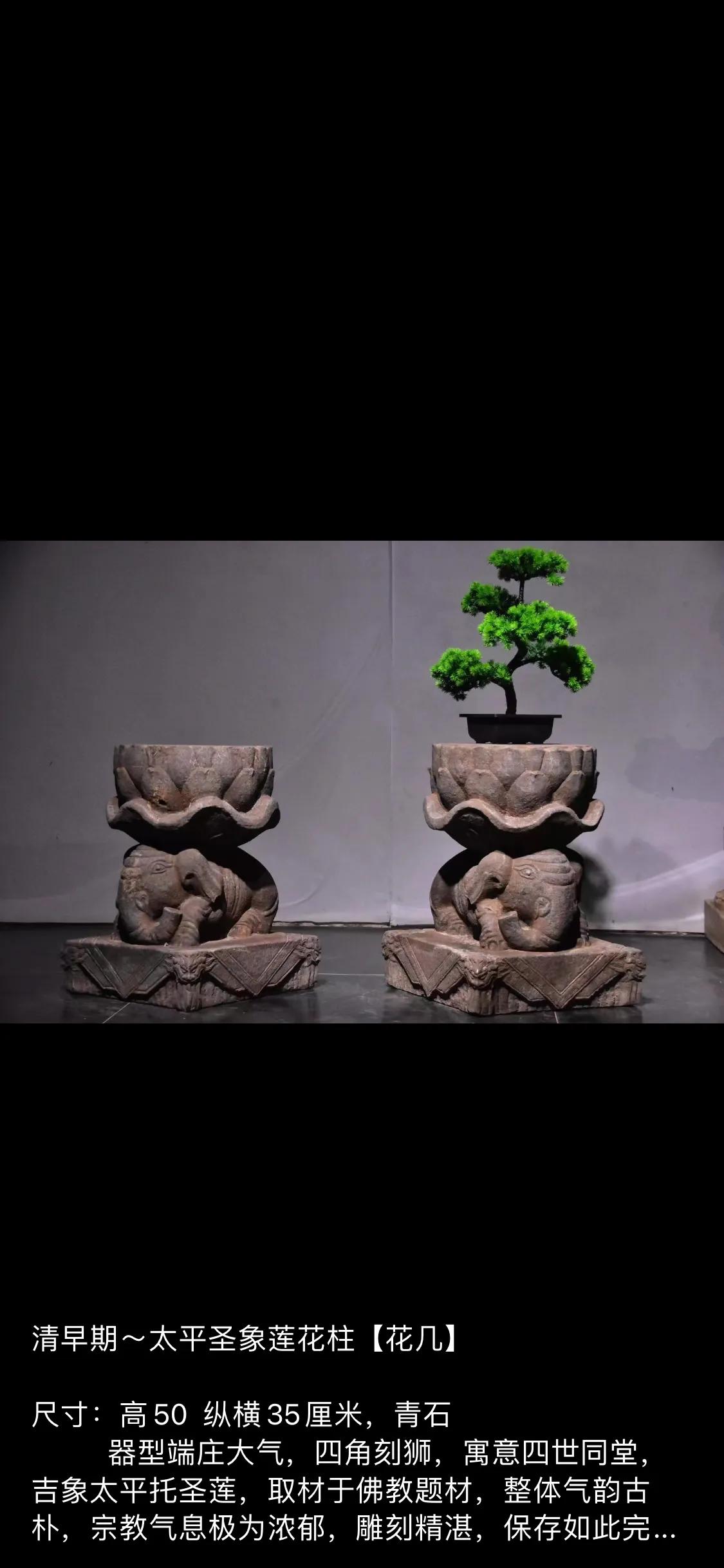 Taiping sacred elephant lotus column [flowers] - iMedia
