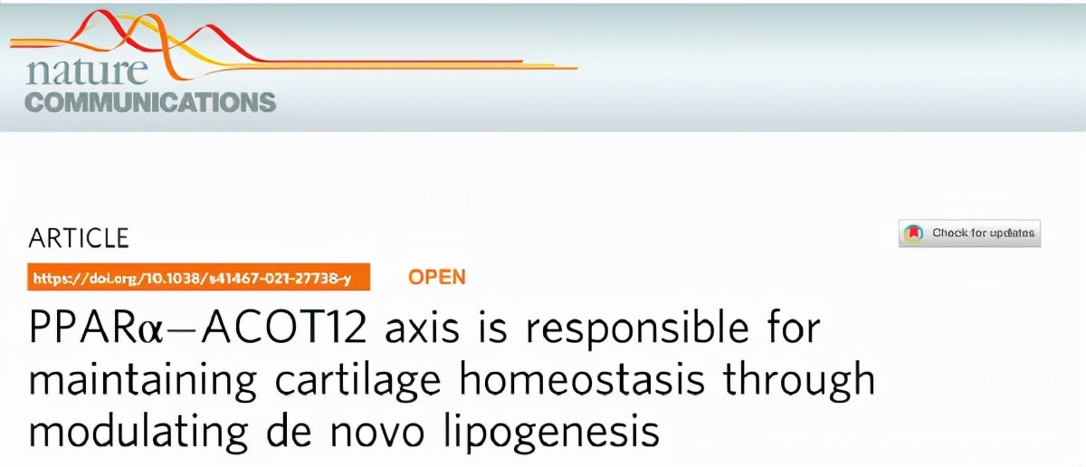 Research progress on osteoma/bone disease (March 2022) - iNEWS