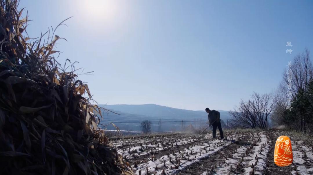 Fengling: Fengling is full of goodness and fragrance——Zhang Lingfang ...