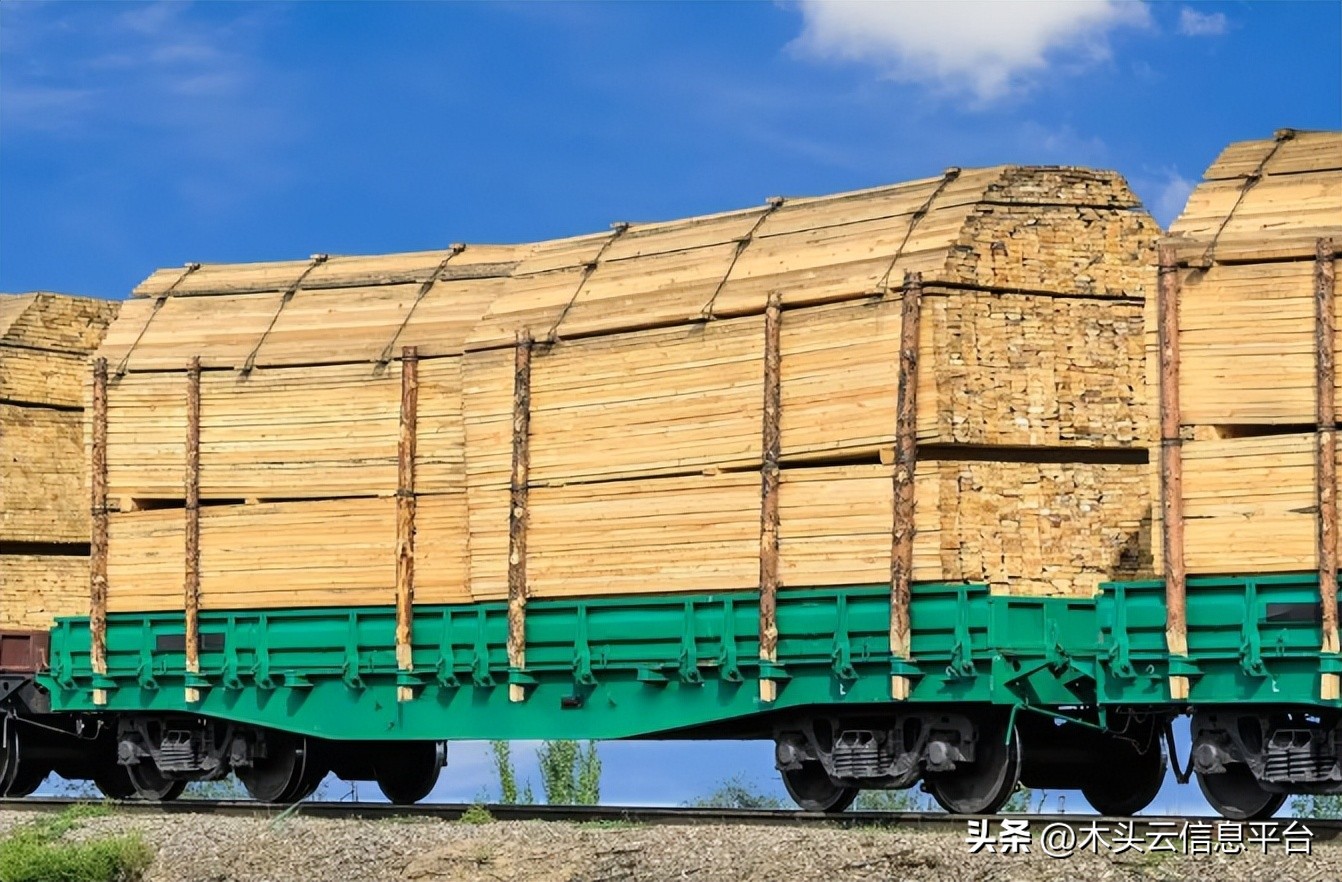 After the adjustment of timber transportation priority, the unprocessed ...