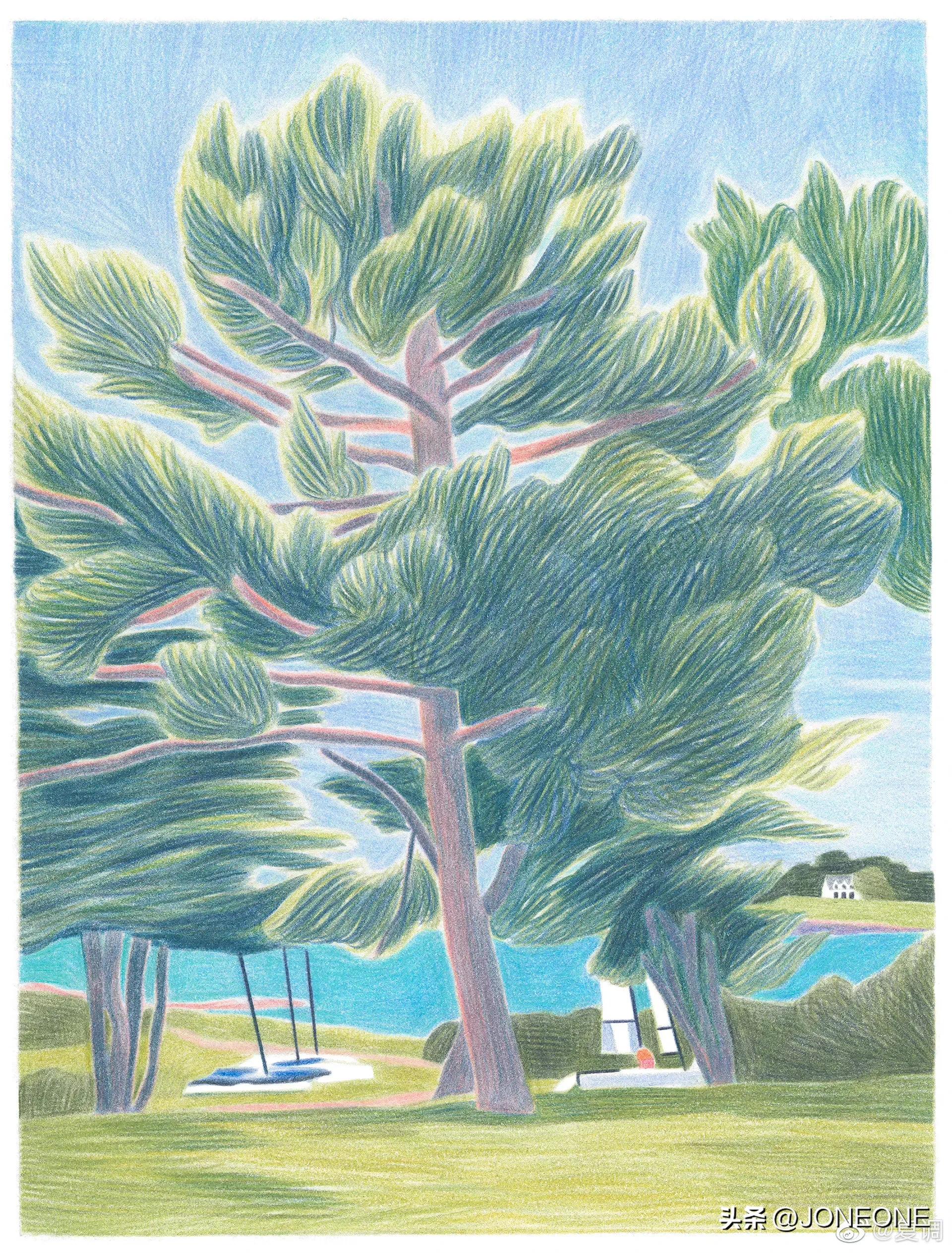 Caroline Péron loves the way the pencil touches the paper - iNEWS