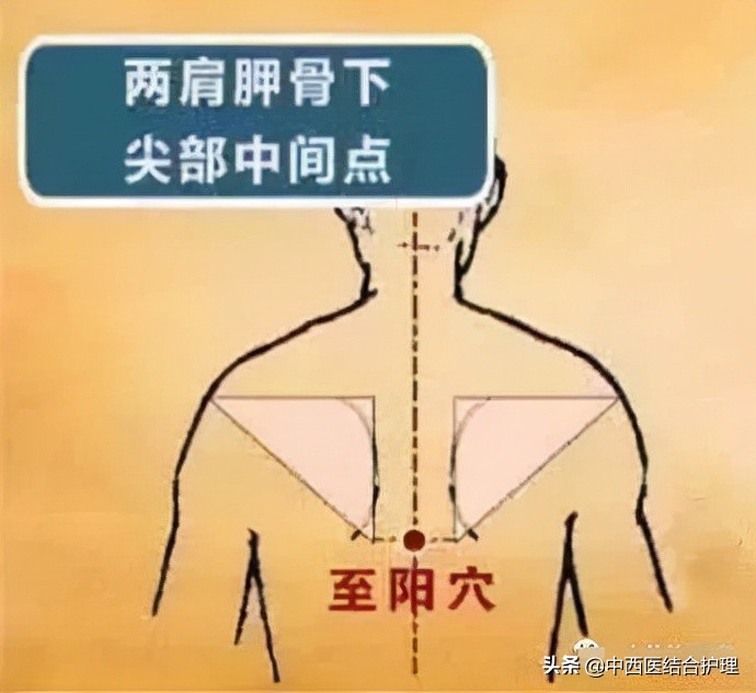 "Acupoint health preservation" is a magical acupuncture point that ...
