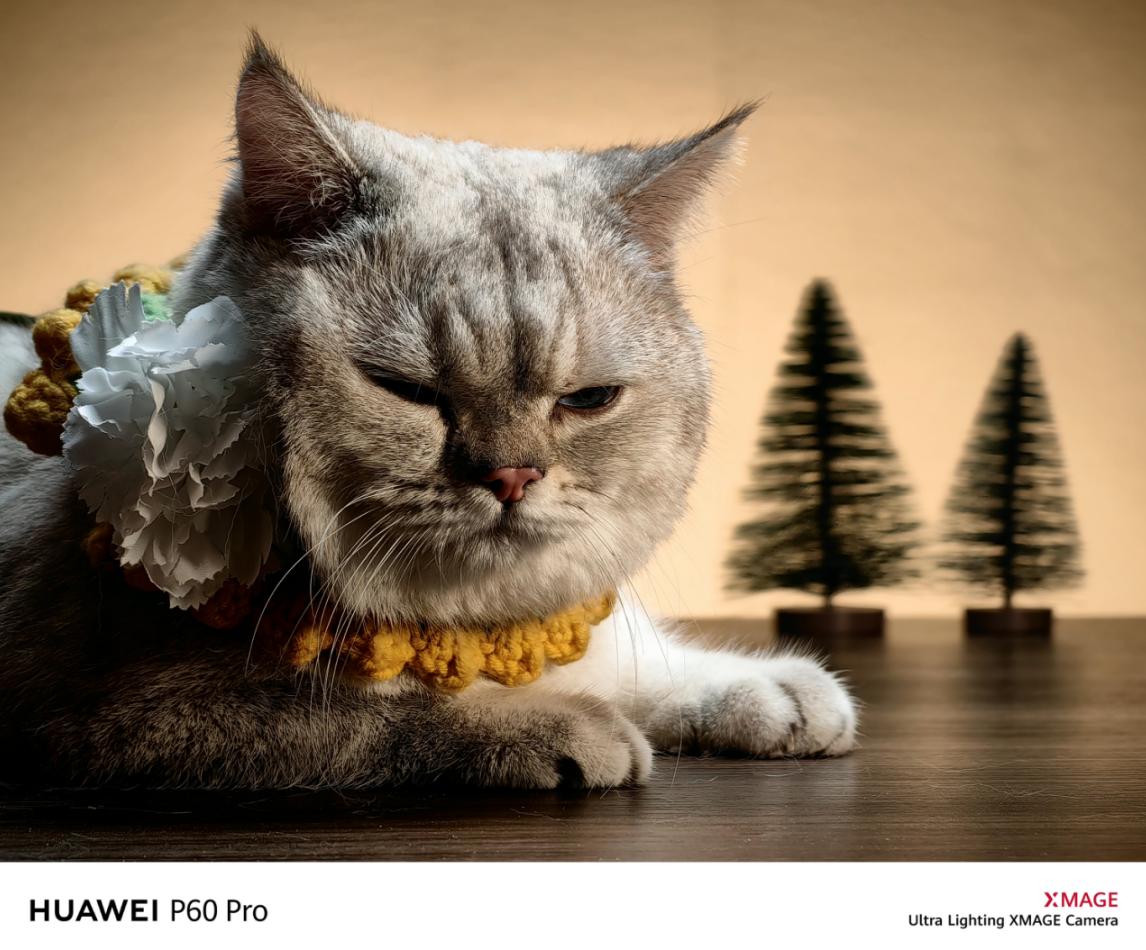 A must-have pet artifact for photographers, Huawei P60 Pro takes you ...