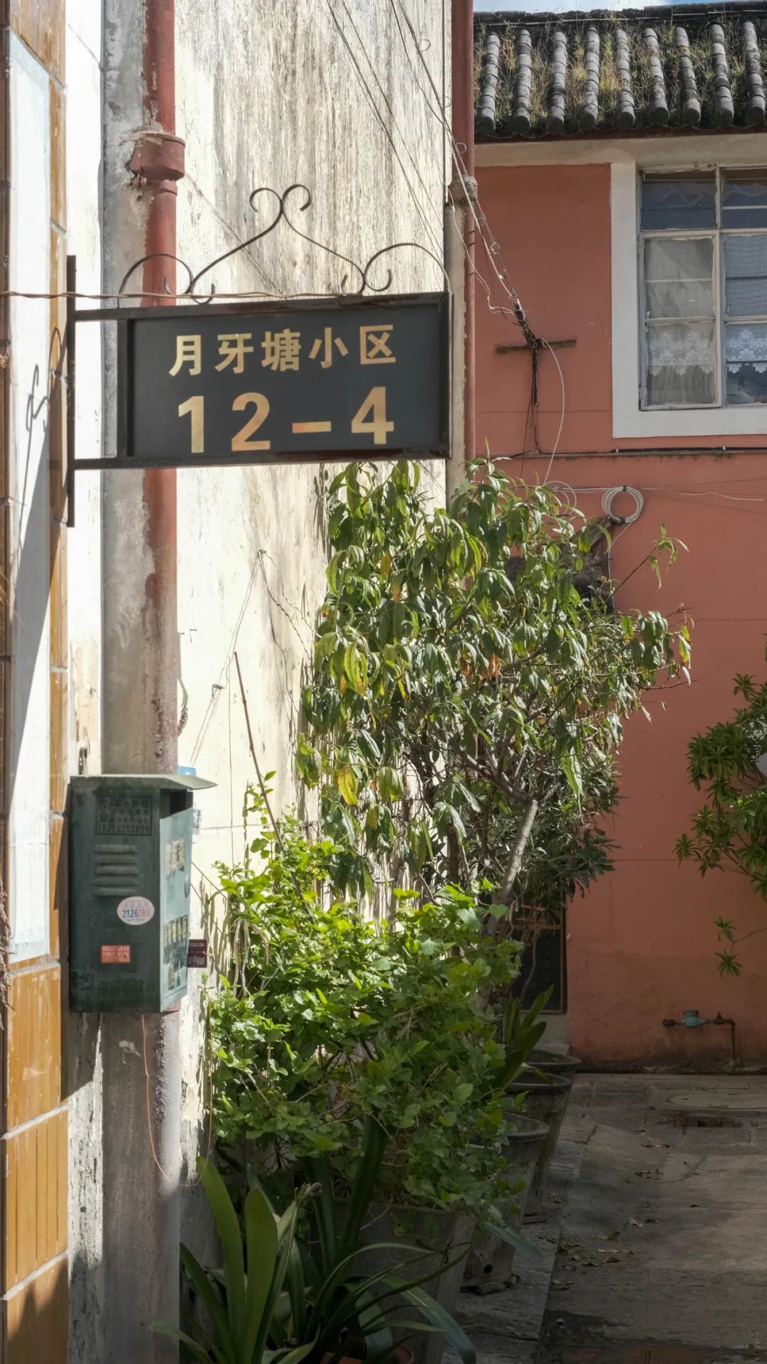 Dali's Treasure Alley is waiting for you to discover - Crescent Moon ...