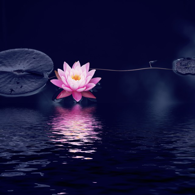 The Enlightened Shurangama, the Dharma Flower of Enlightenment - iNEWS