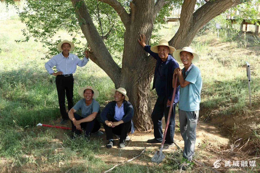 100,000 acres of desert flowers are in full bloom. Today's Babusha is ...